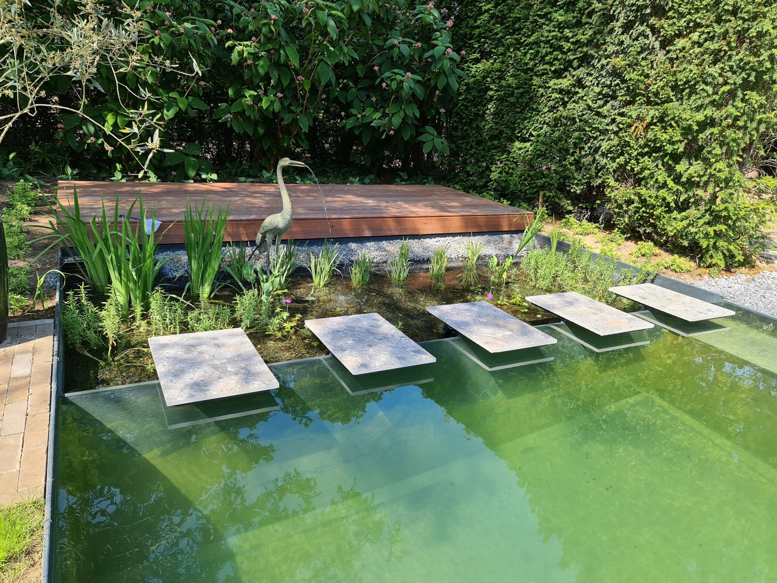 Hoe werkt een plantenfilter? - Vijverwinkel.com